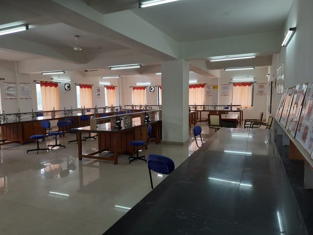 Anatomy – SUT Academy of Medical Sciences
