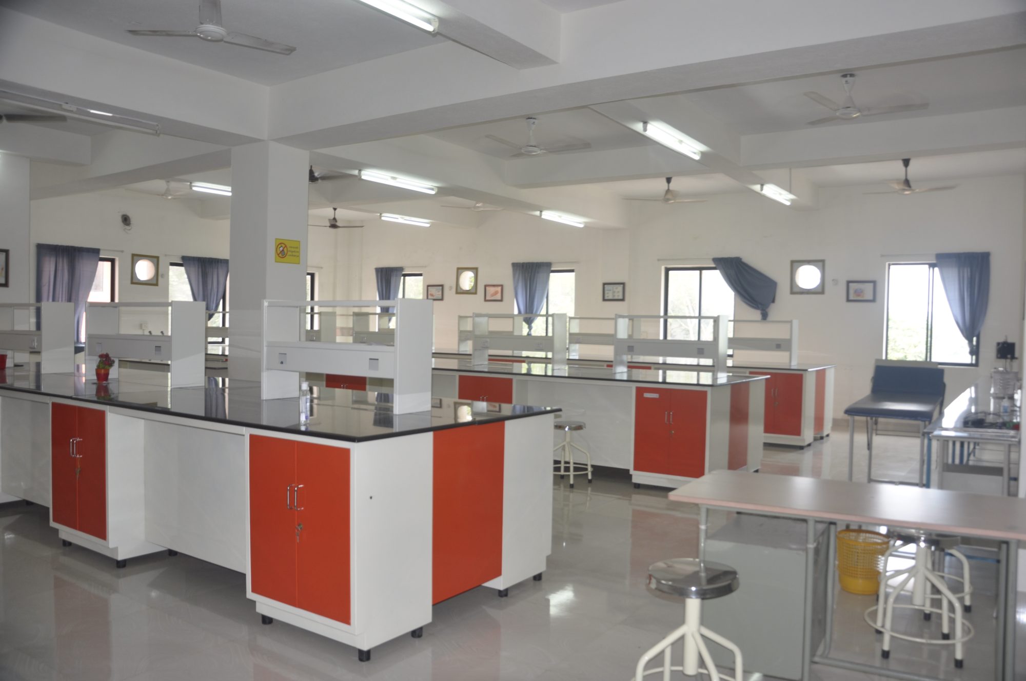 Physiology – SUT Academy of Medical Sciences